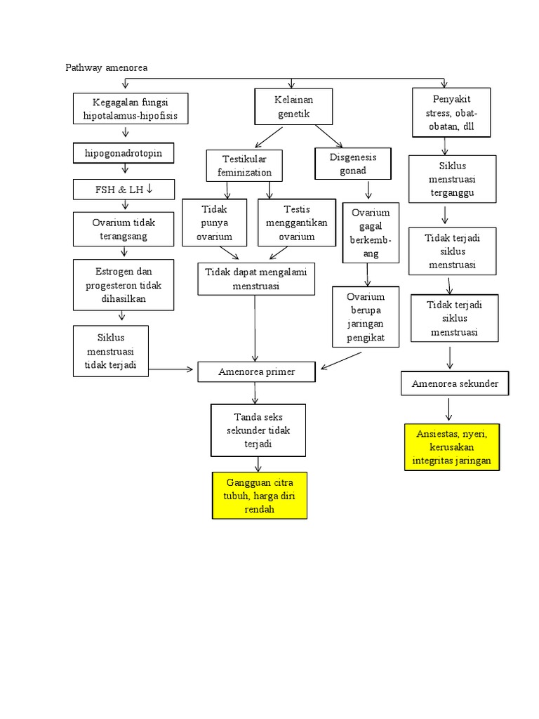 Pathway Amenorea | PDF