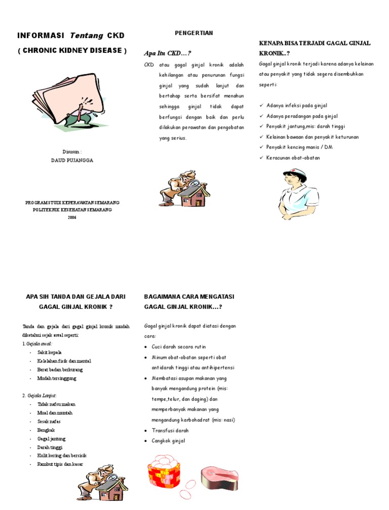 Leaflet CKD | PDF