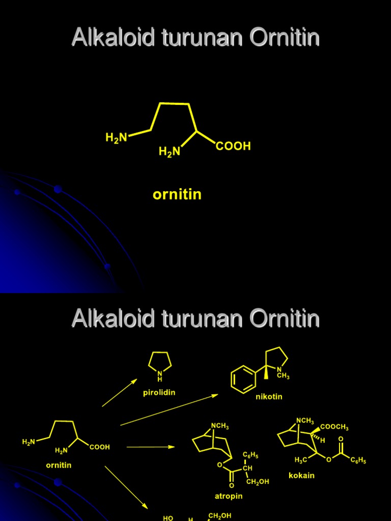 Alkaloid Turunan Ornitin, Lysine, Poliasetat Dan Antranilat PDF | PDF