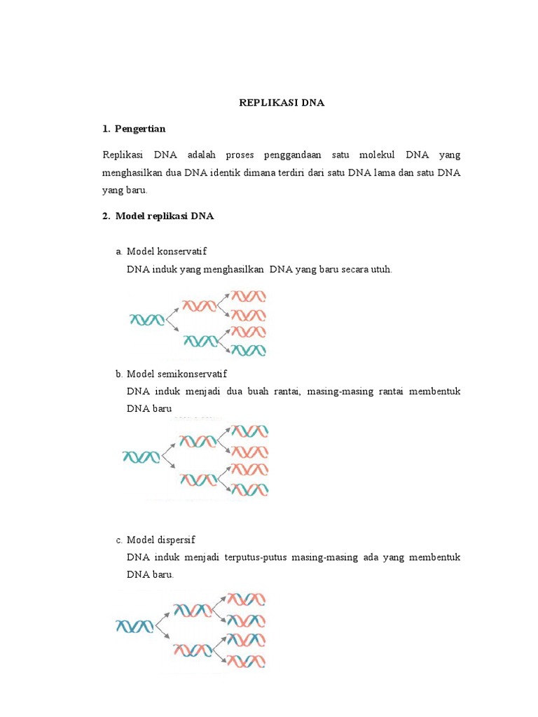 Replikasi Dna | PDF