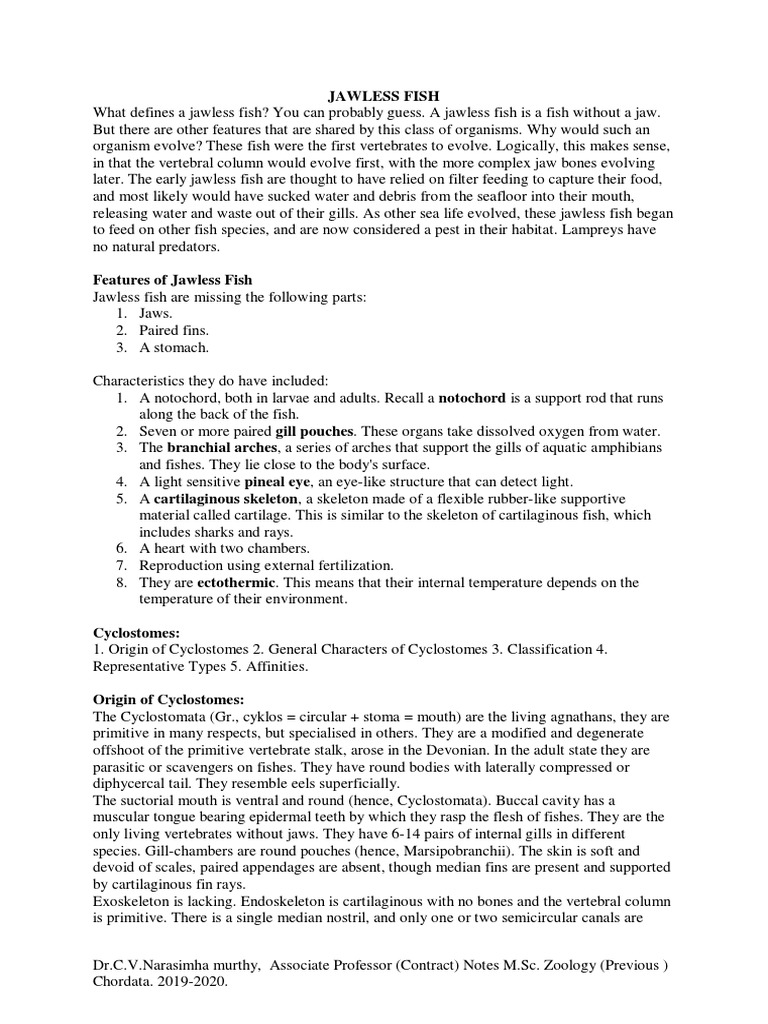 Jawless Fish | PDF | Fish | Organisms