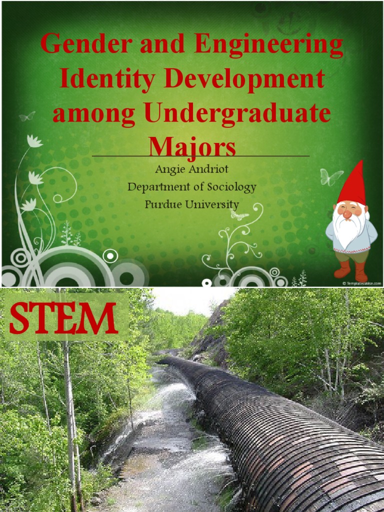 Gender and Engineering Identity Development Among Undergraduate Majors ...