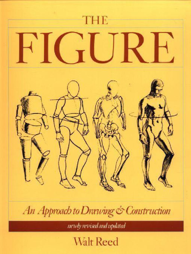The Figure The Classic Approach To Drawing & Construction by Walt Reed ...