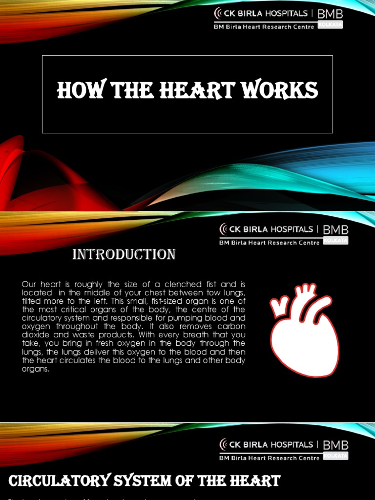 How The Heart Works | PDF
