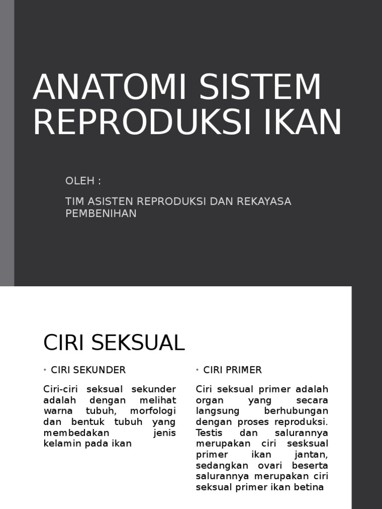 Anatomi Sistem Reproduksi Ikan RRP | PDF