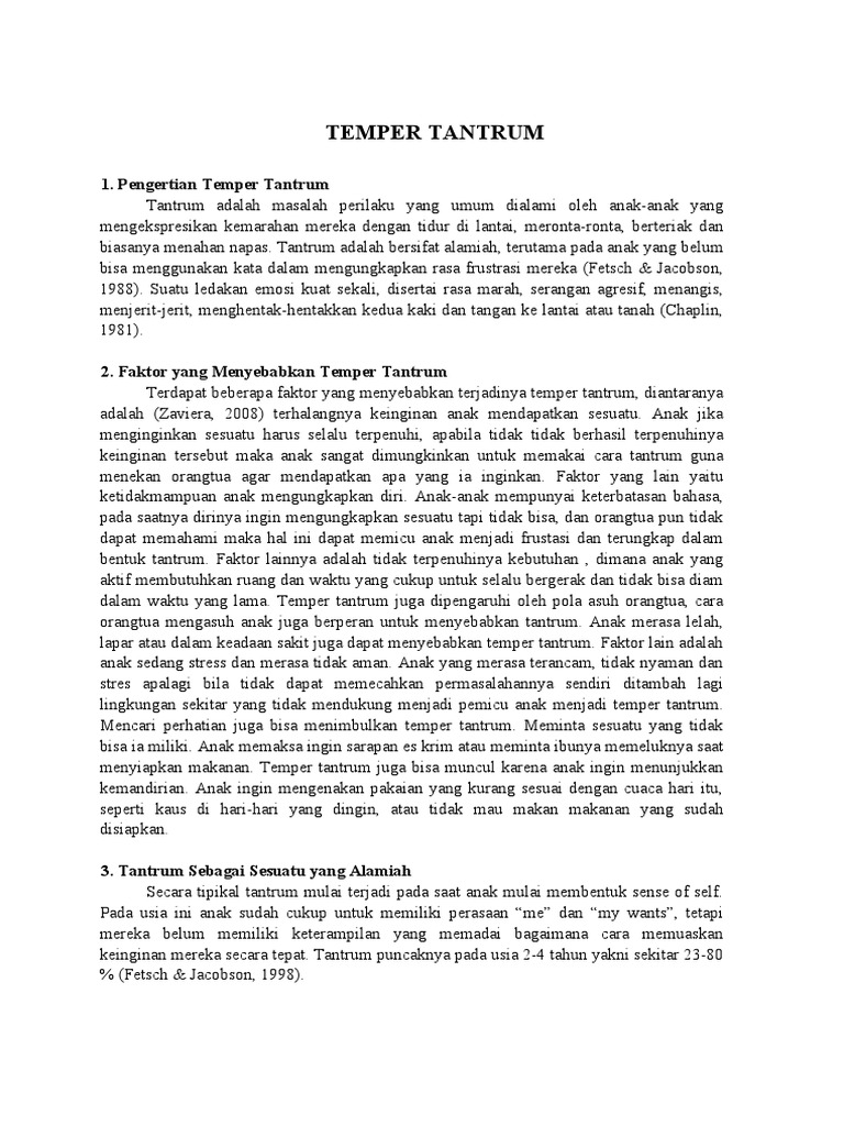 Temper Tantrum | PDF