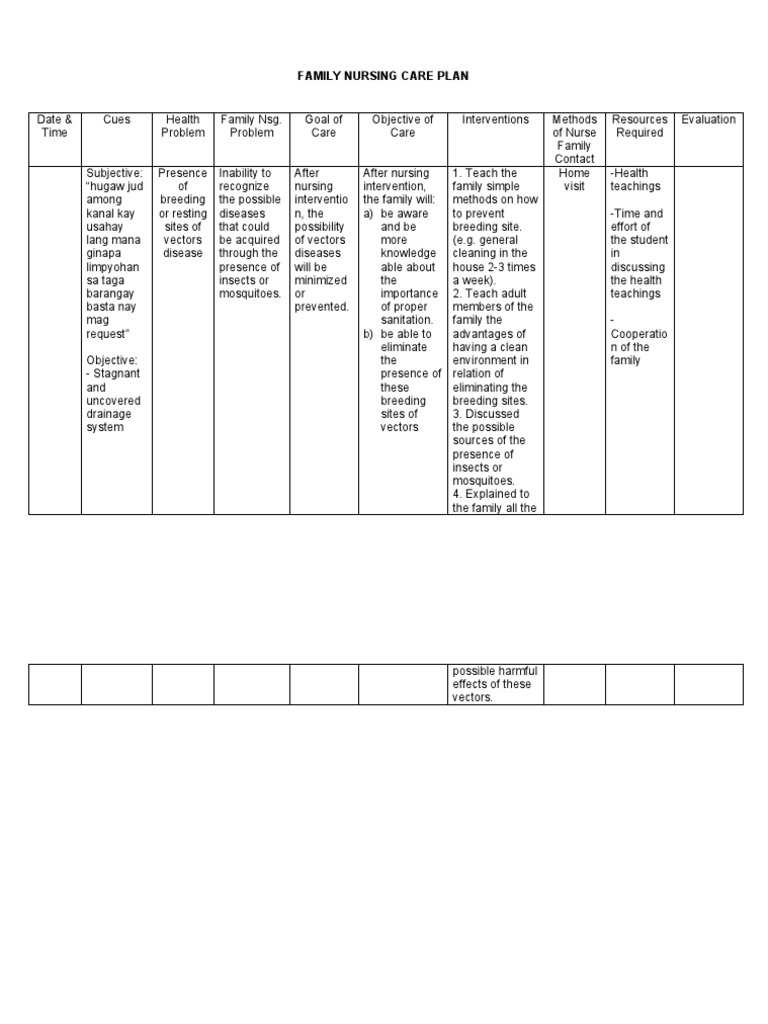 Family Nursing Care Plan | PDF | Nursing | Public Health