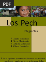 Informe de Los Pech | PDF | Personas