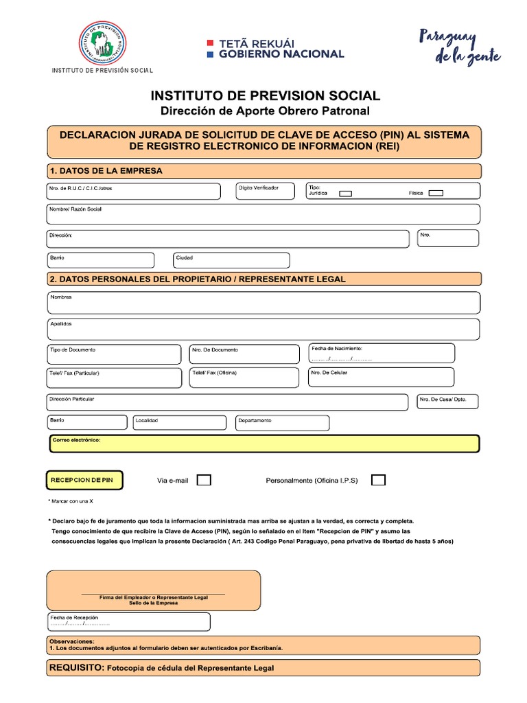 Formulario Sistema REI I.P.S | PDF