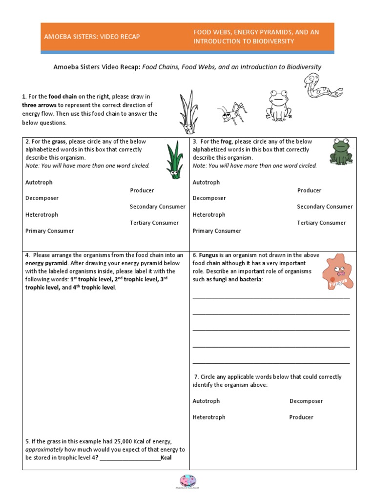 Food Webs and Biodiversity Overview | PDF | Food Web | Symbiosis