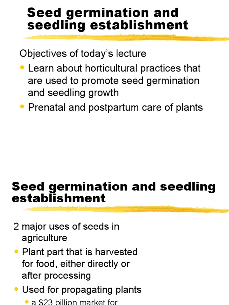 Seedling Establishment | PDF | Seed | Germination