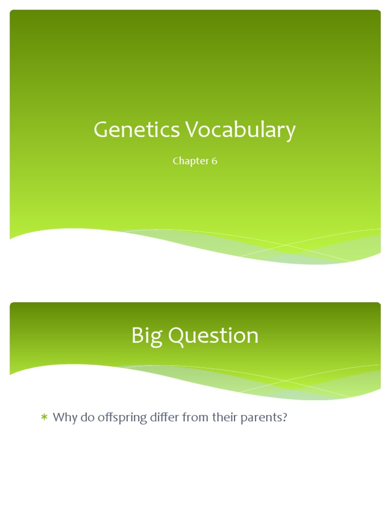 Genetics Vocabulary | PDF | Zygosity | Dominance (Genetics)