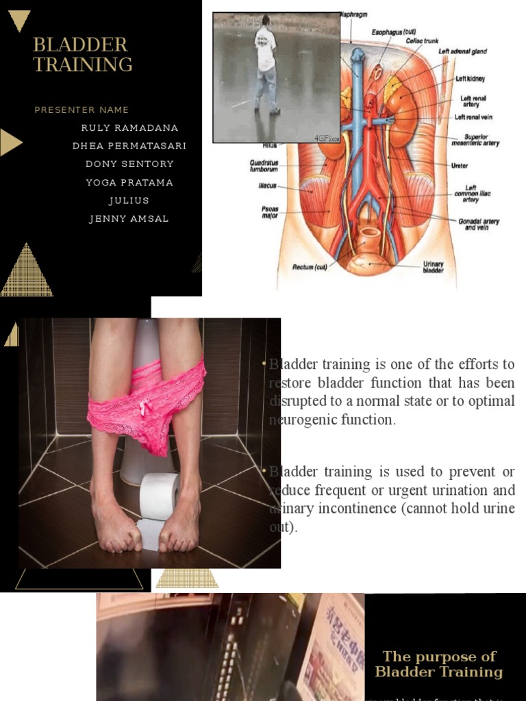 Bladder Training | PDF
