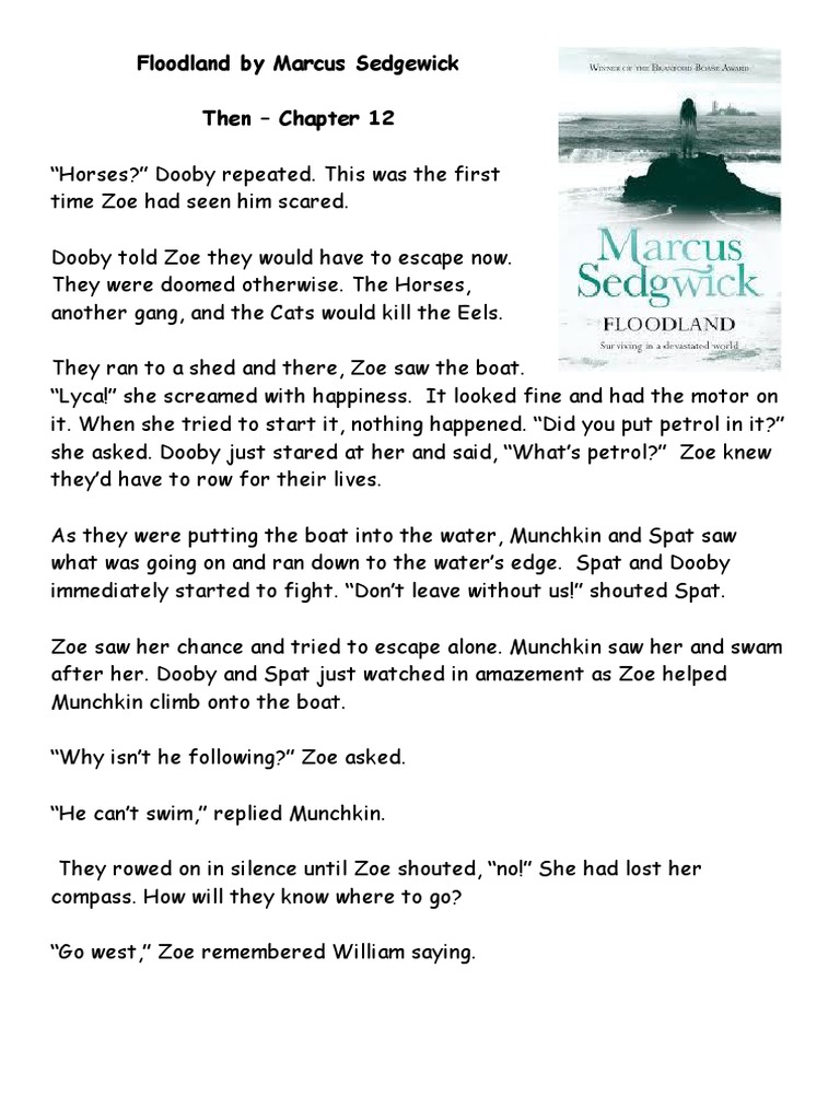 Floodland: Zoe's Journey to Hope | PDF