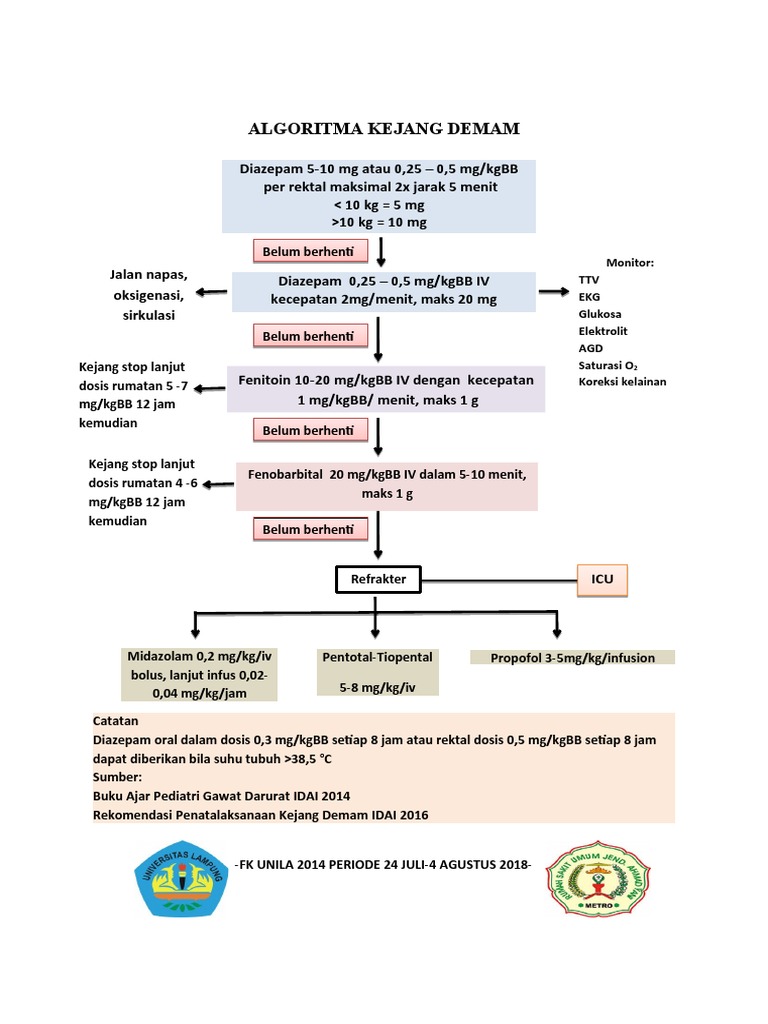 Algoritma Kejang Demam | PDF