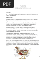 Sistema Digestivo en Aves Introduccion | PDF
