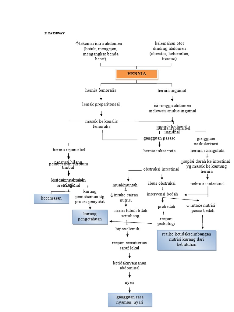 PATHWAY Hernia | PDF