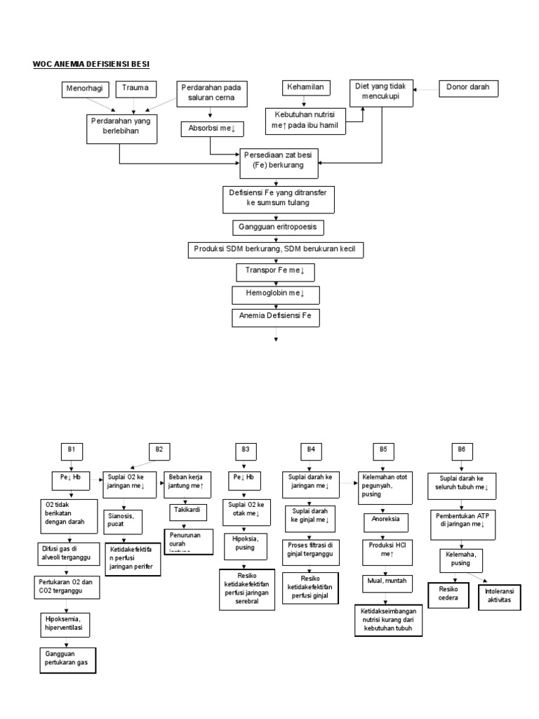 Woc Anemia Defisiensi Besi | PDF