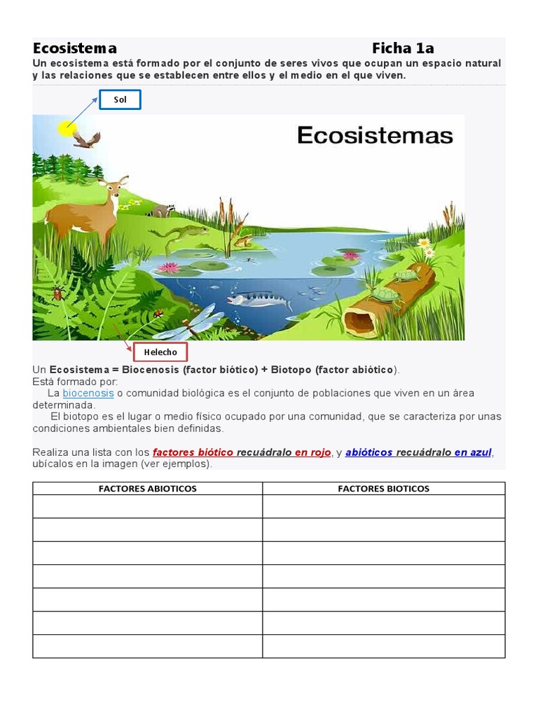FICHA 1 - Ecosistema | PDF