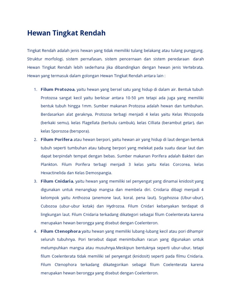 Hewan Tingkat Rendah | PDF
