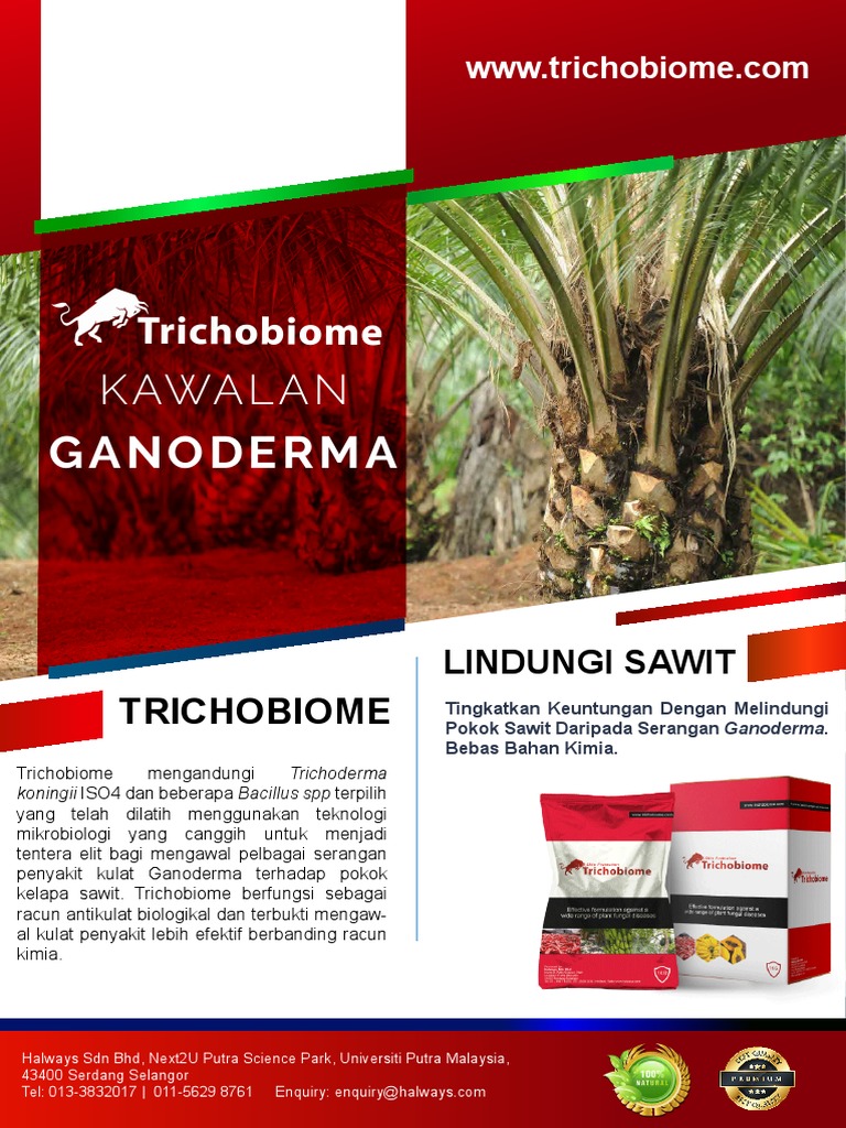 Trichobiome Sawit Brochure Kawalan Ganoderma Halways SDN BHD | PDF