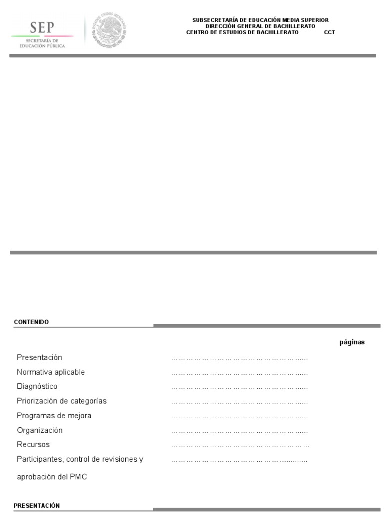 Formato para Elaborar PMC | PDF