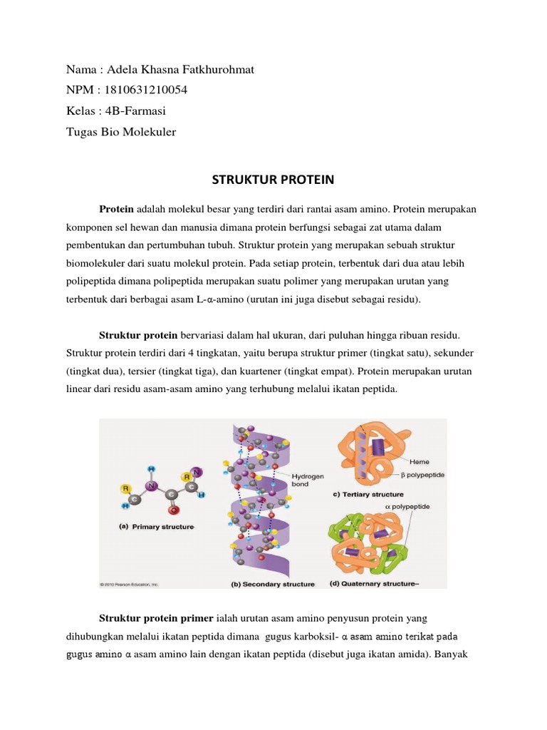 Struktur dan Tingkatan Protein | PDF