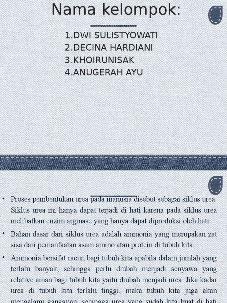 (Pembentukan Urea) DR - Asep | PDF