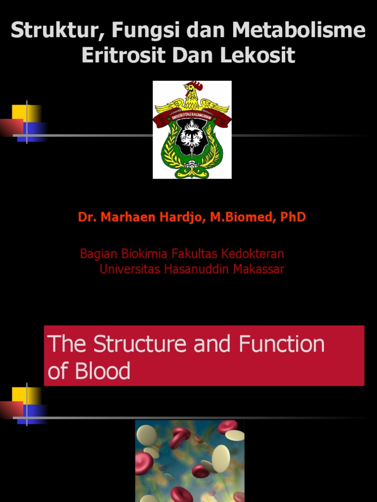 Struktur, Fungsi Dan Metabolisme Eritrosit Dan Lekosit | PDF | Antibody ...