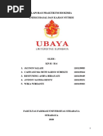 Laporan Praktikum Uji Aktivitas Enzim Amilase | PDF