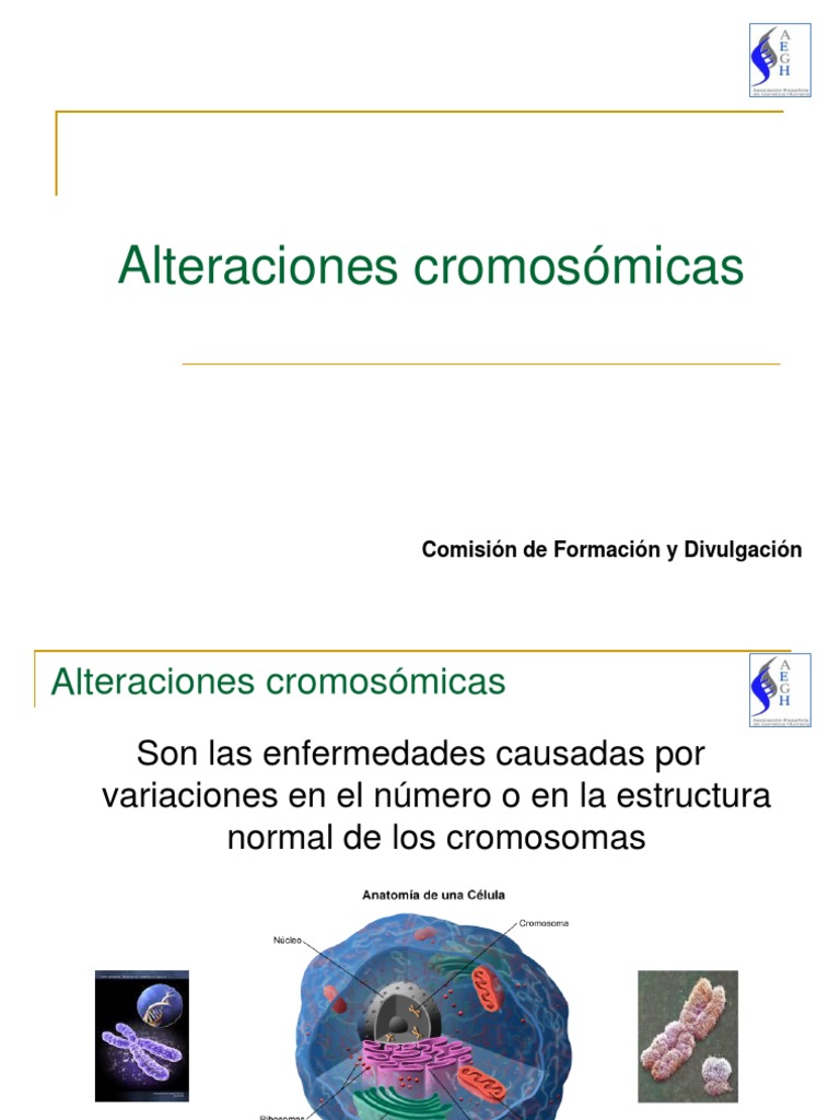 1.introducción Alteraciones-Cromosomicas PDF | PDF | Cariotipo | Cromosoma