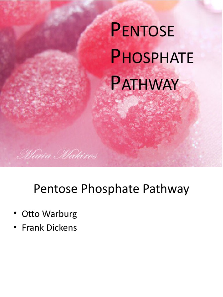Pentose Phosphate Pathway Overview | PDF | Macromolecules | Organic ...