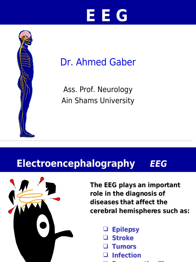 EEG Basics PDF | PDF | Electroencephalography | Sleep