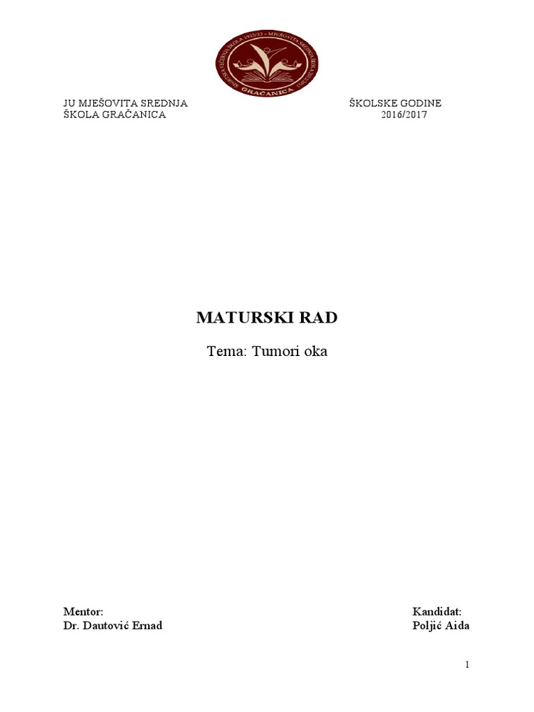 Maturski Rad Aida | PDF