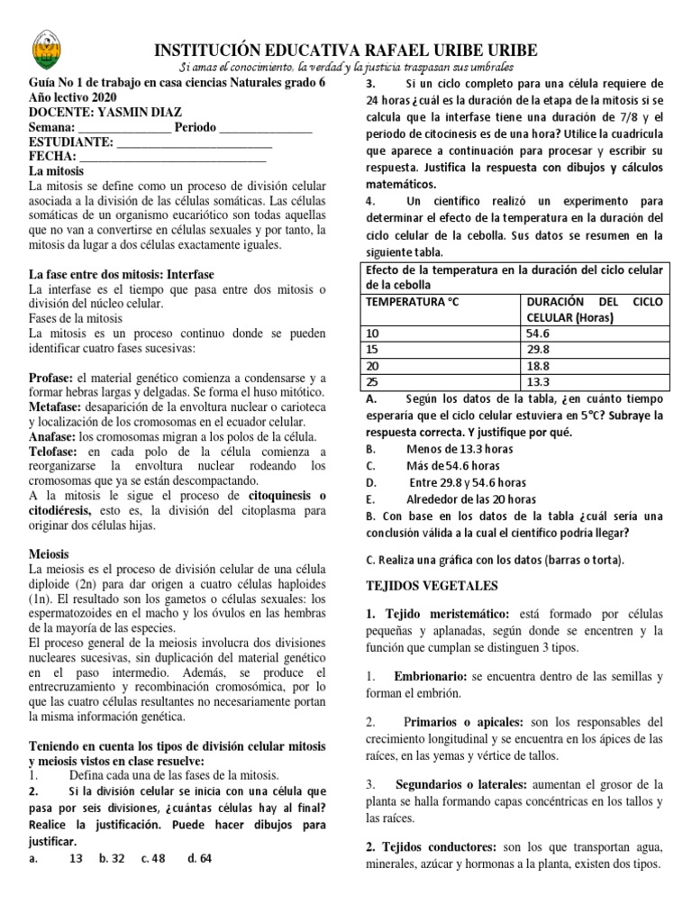 Guia No 1 Ciencias Naturales Grado 6 | PDF | Mitosis | Mitosis