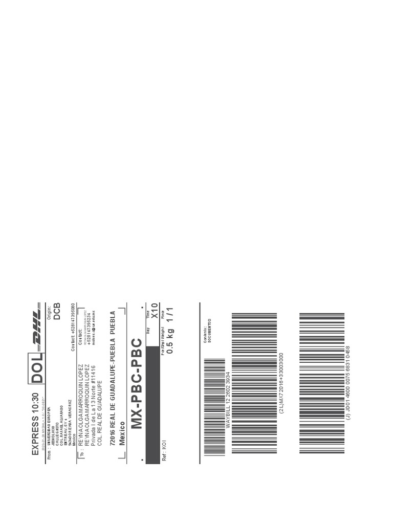 Guía DHL | PDF | Freight Transport | Transport
