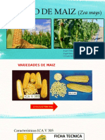 LITOSOLES | PDF | Suelo | Roca (geología)