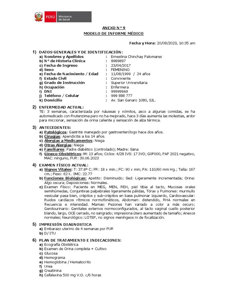 Modelo de Informe Médico PDF | PDF | El embarazo | Especialidades Medicas