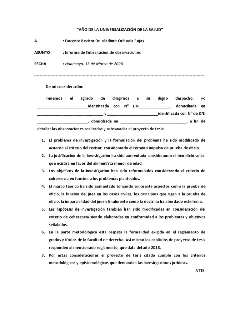 Informe de Subsanacion | PDF