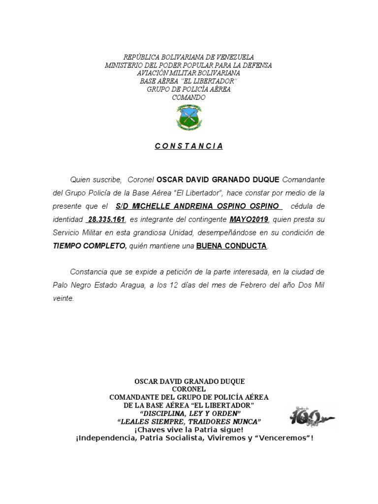 Armamento Individual | PDF