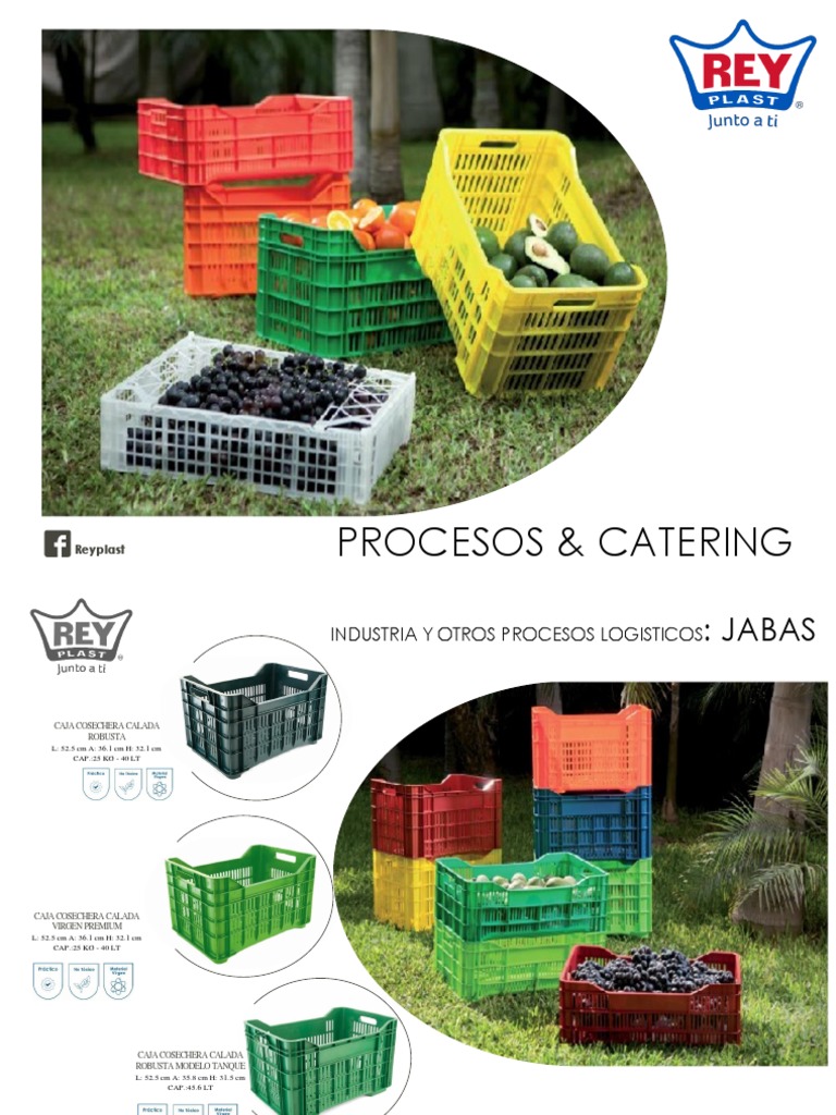 Catalogo Horeca | PDF | Azotaina | Arecaceae