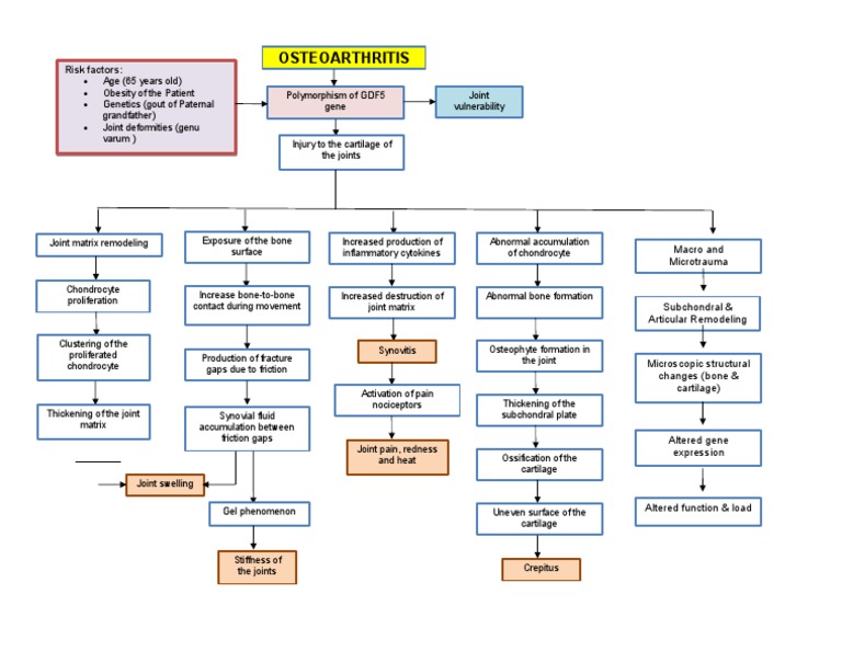 Osteoarthritis Pathophysiology | PDF | Cartilage | Bone
