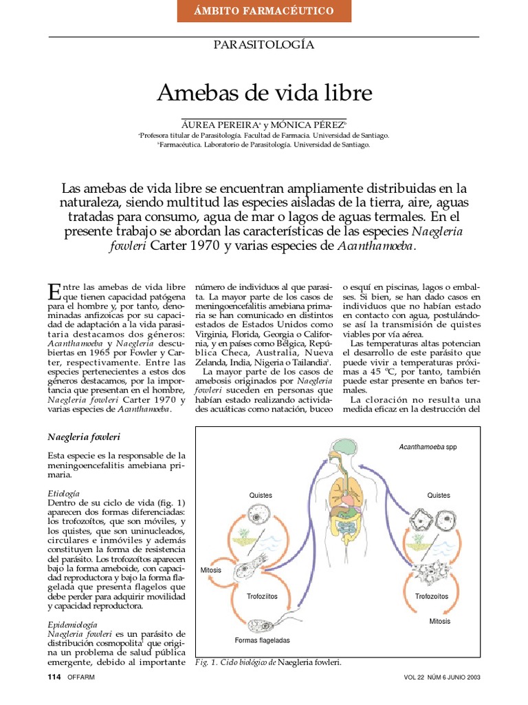Amebas de Vida Libre | PDF | Microbiología | Especialidades Medicas