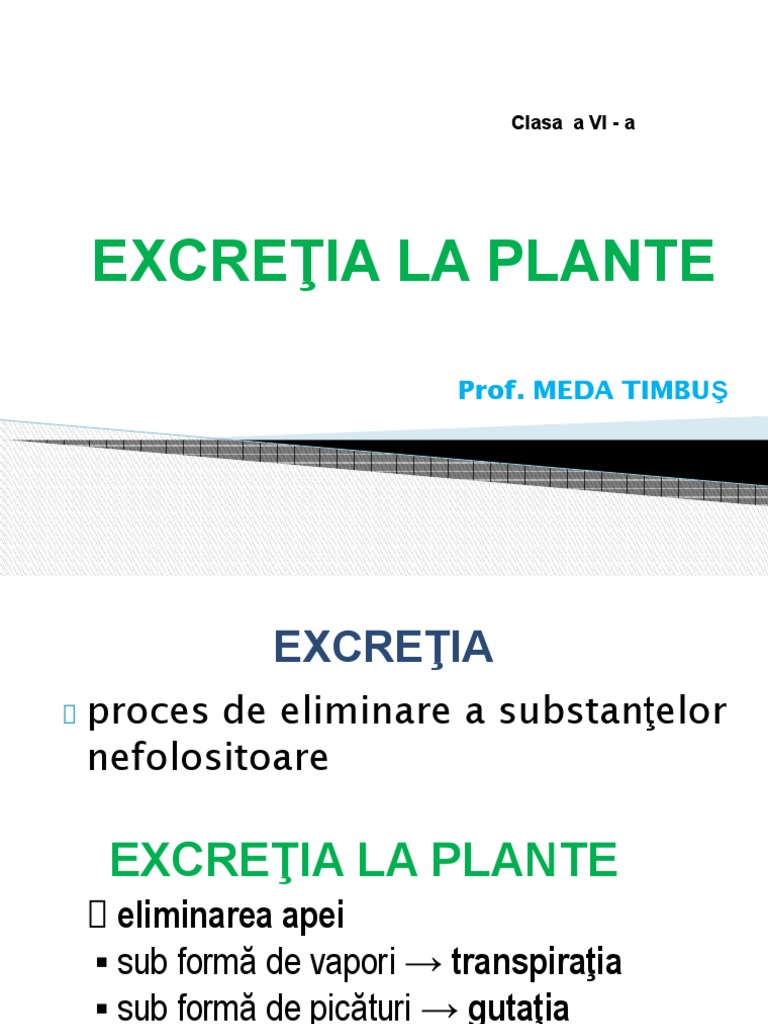 Excretia La Plante - VI PDF | PDF
