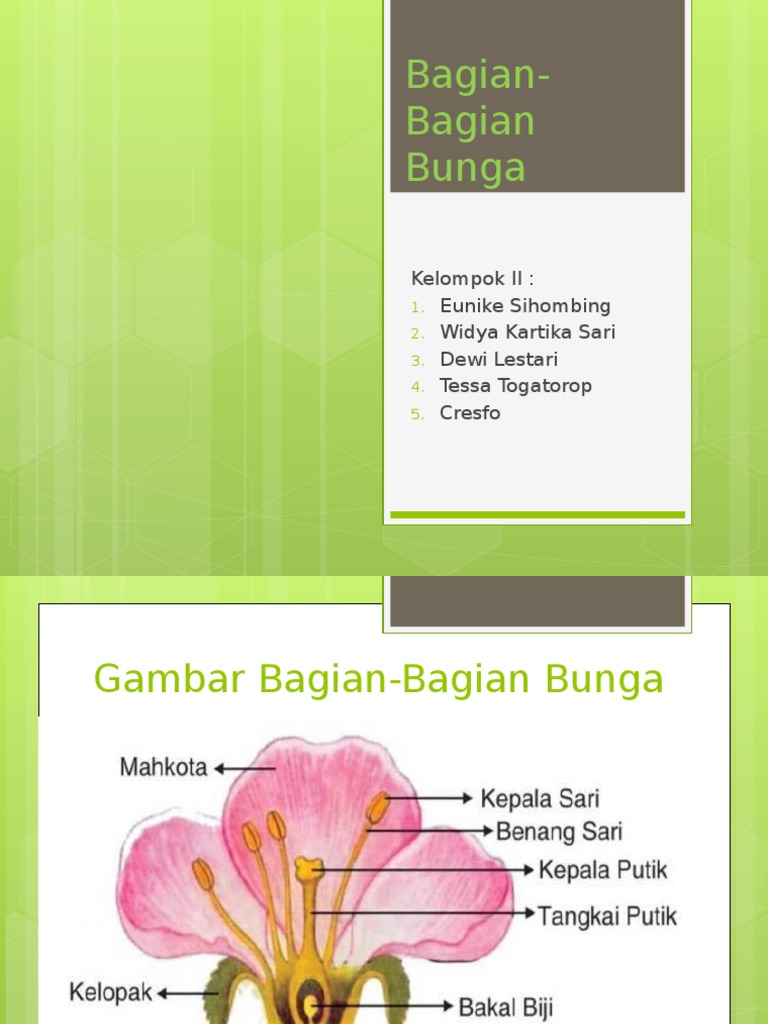 Bagian-Bagian Bunga | PDF