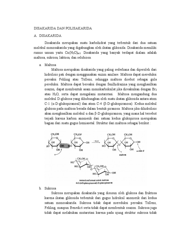 DISAKARIDA Dan POLISAKARIDA | PDF