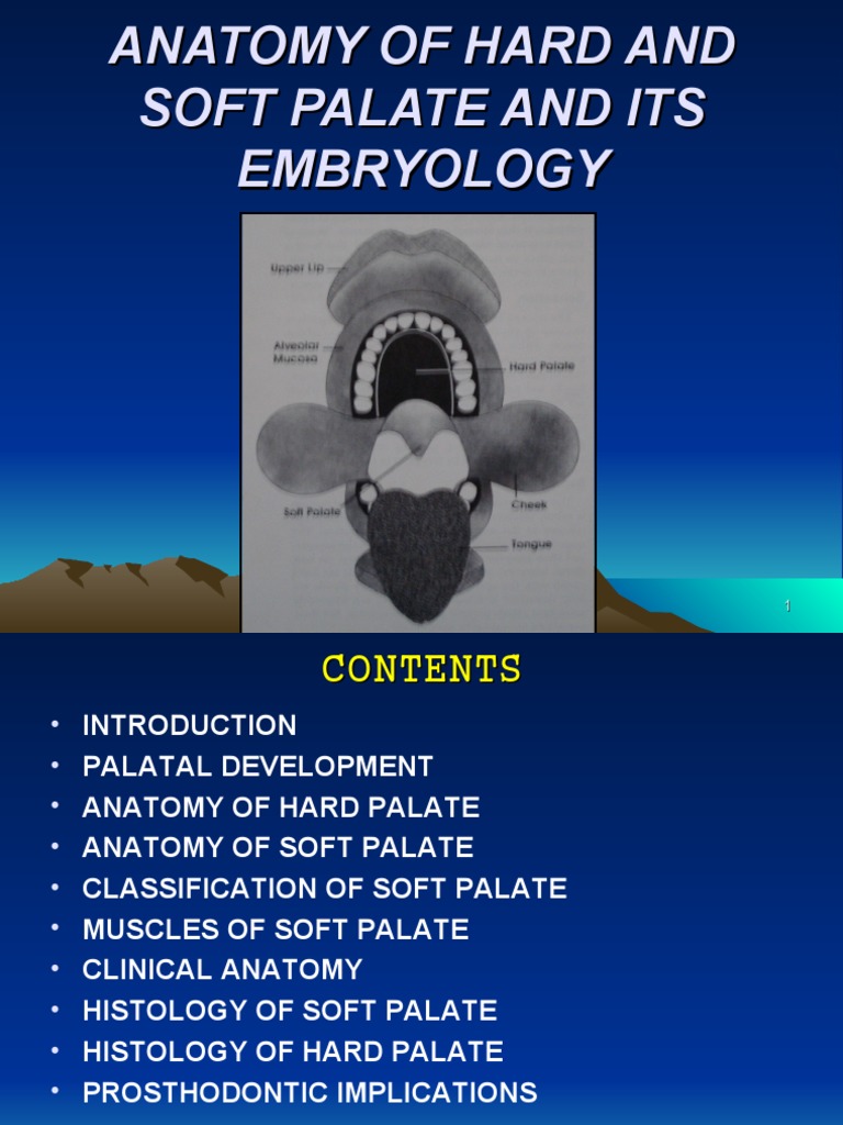 Dev of Hard & Soft Palate | PDF | Human Nose | Mouth