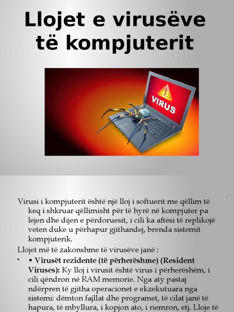 Llojet e Virusëve Të Kompjuterit | PDF