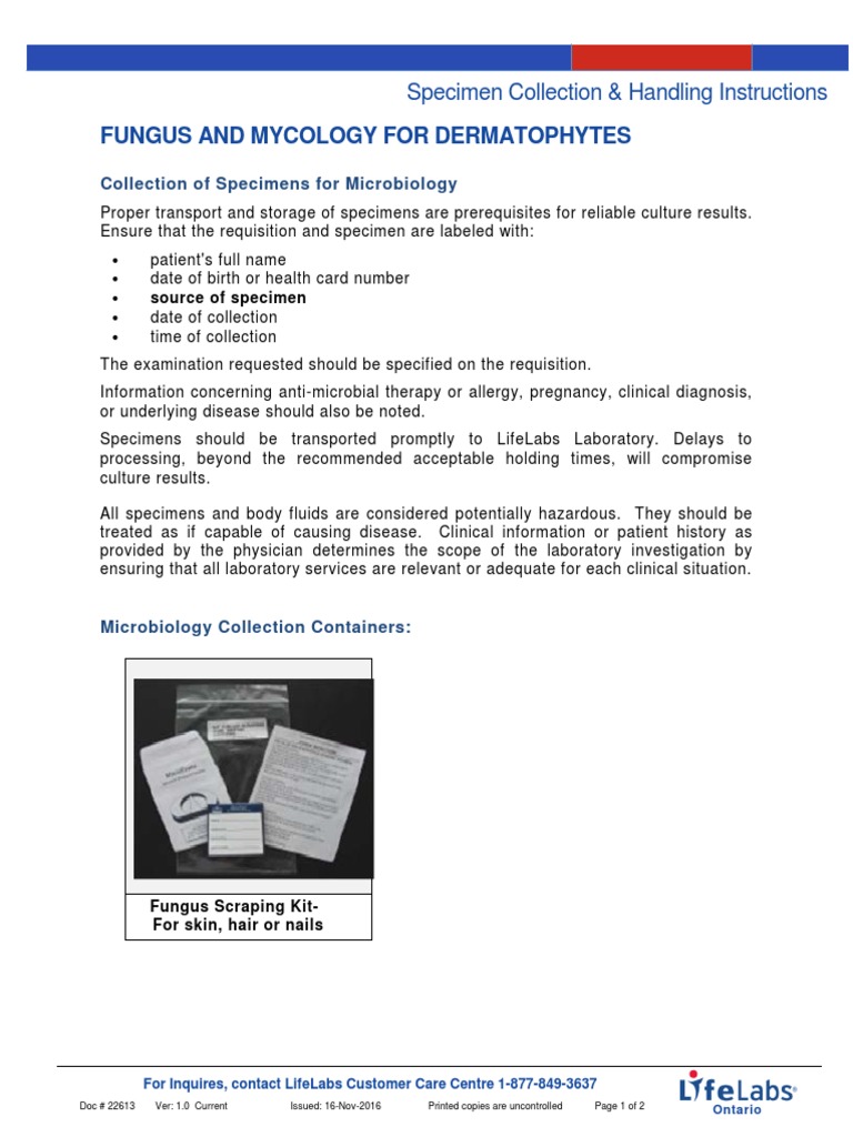 Fungus and Mycology For Dermatophytes | PDF | Nail (Anatomy) | Clinical ...