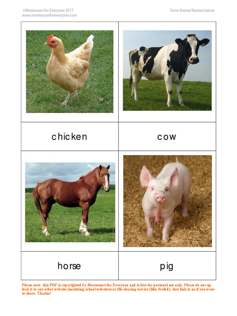 Farm_Animal_Nomenclature.pdf